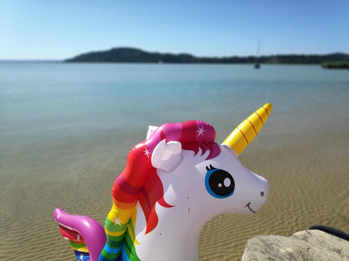 Helló Július! Helló Afrika!